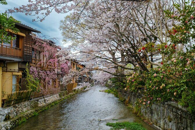 Kyoto Private Customized English Tour With Pick Up - The Value of a Private, Custom Experience