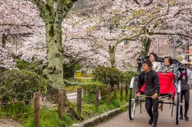 Kyoto Private Day Tour: Temples, Gardens & Cultural Experience - Authenticity and Value: What You Really Get