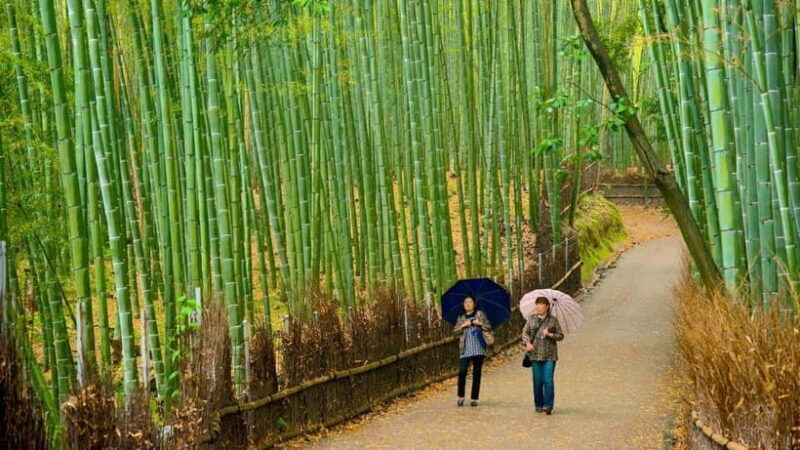 Kyoto: Private Day Tour with English-Speaking Driver - An In-Depth Look at the Itinerary and Highlights