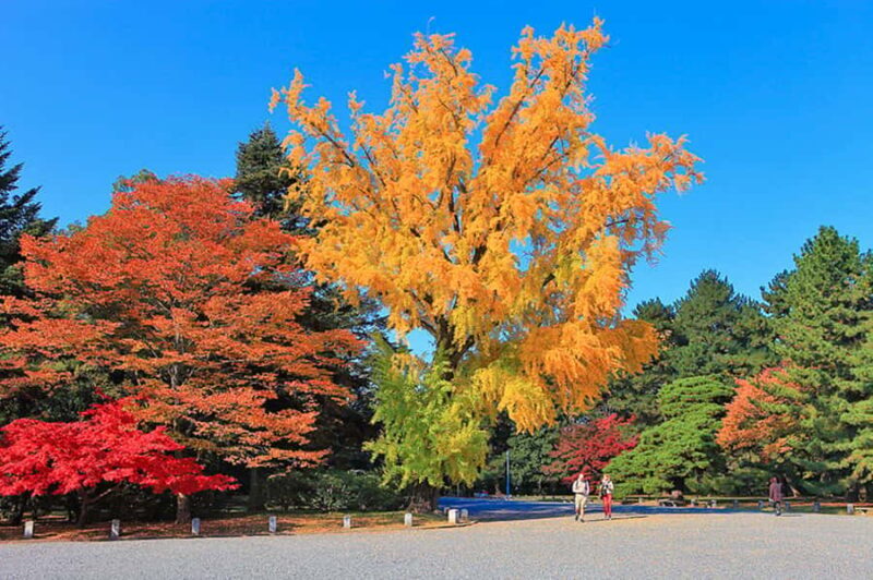 Kyoto Private E-Bike Tour: Highlights & Hidden Gems - Authenticity and Customization