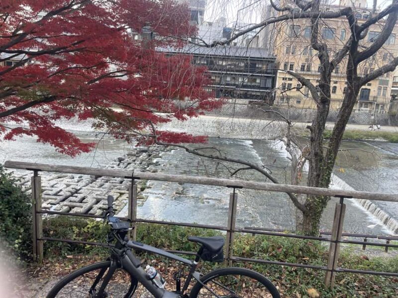 Kyoto: Private E-Bike Tour of Old Kyoto - Value and Practical Considerations