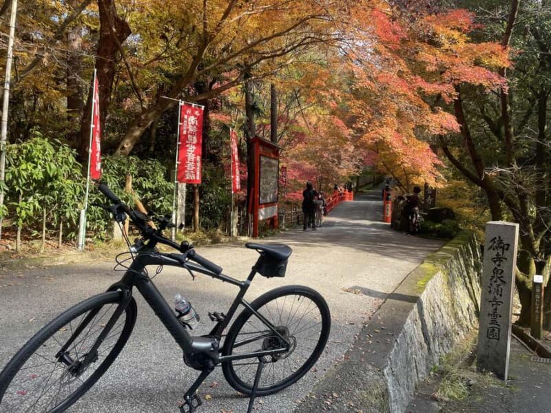 Kyoto: Private E-Bike Tour of Old Kyoto - FAQs