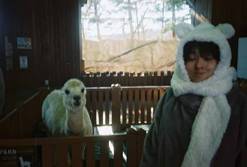 Kyoto: Private Film Photo Tour with Real Album - What’s Included and What to Bring