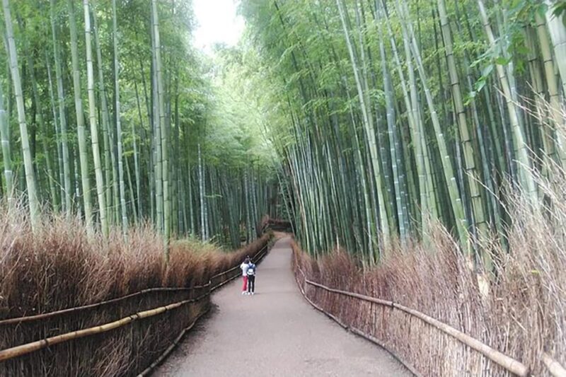 Kyoto: Private Full-Day Early Riser Platinum Walking Tour - An Honest Look at the Kyoto Early Riser Walking Tour