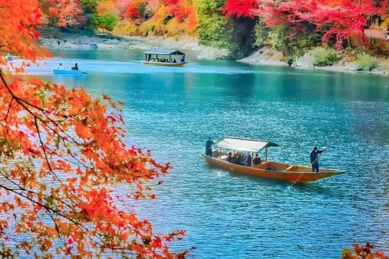 Kyoto: Private Full-Day Sakura Tour by Vehicle with Guide - The Sum Up