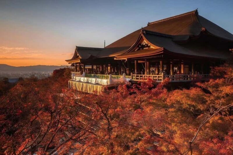 Kyoto: Private Full-Day Sakura Tour by Vehicle with Guide - FAQ