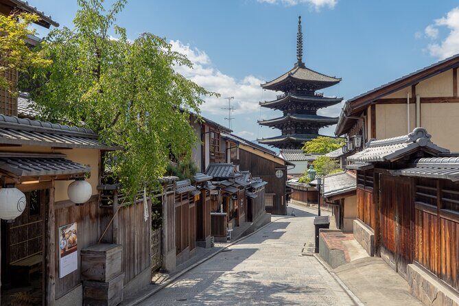 Kyoto Private Full Day Tour by Car - What Travelers Say