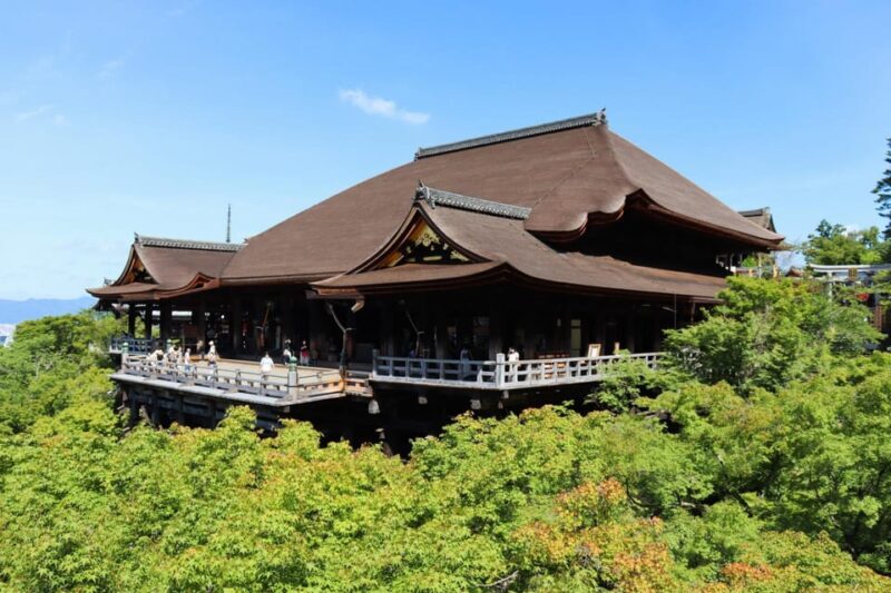 Kyoto: Private Full-Day Tour by Car - Introduction: What You Can Expect from This Tour