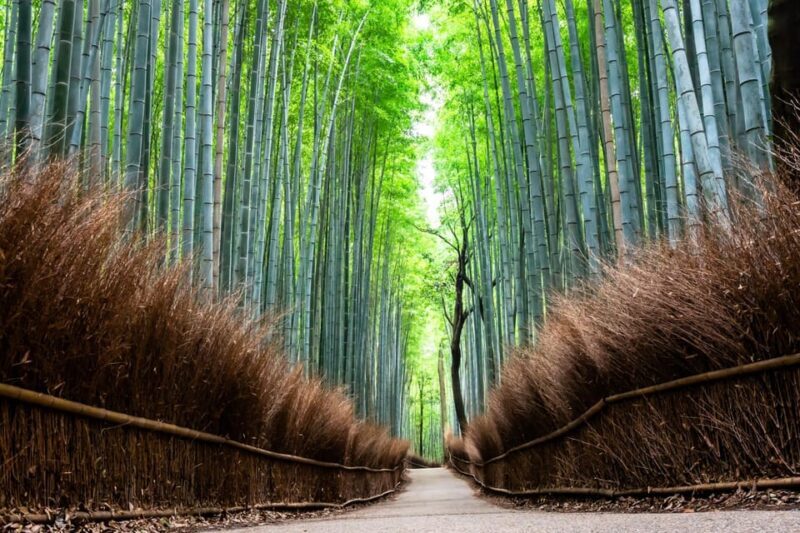 Kyoto: Private Full-Day Tour by Car - The Experience of a Guided Private Tour