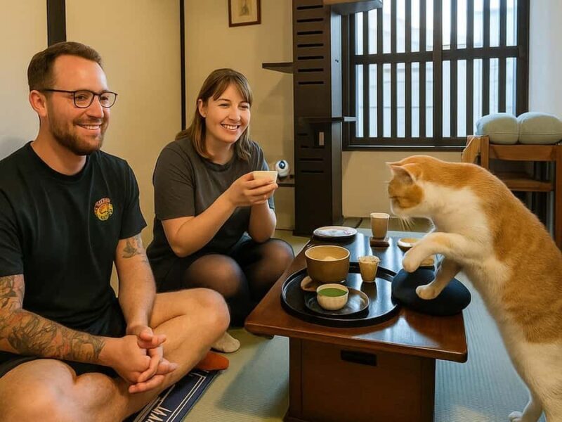 Kyoto: Private/GroupEthical Cat Sanctuary & Tea Ceremony - Key Points