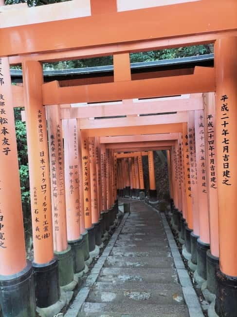 Kyoto: Private Guided Tour with a Local Guide - Who Should Consider This Tour?