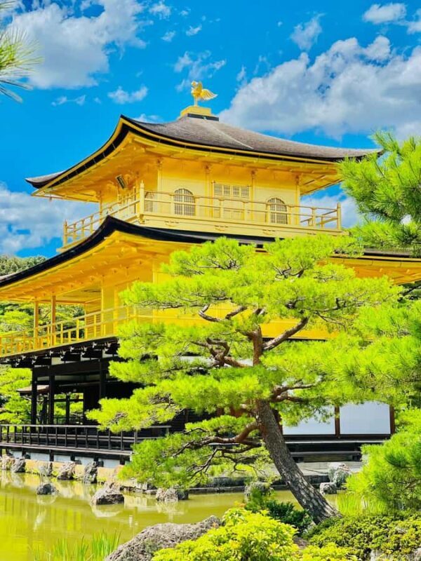 Kyoto: Private guided Tour with English speaking guide - A Practical Review of Kyoto’s Guided Tour
