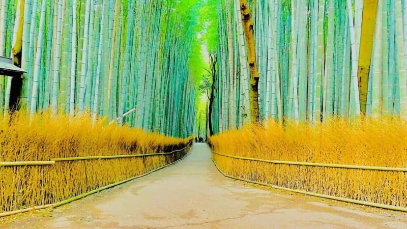 Kyoto: Private guided Tour with English speaking guide - Who Will Love This Tour?