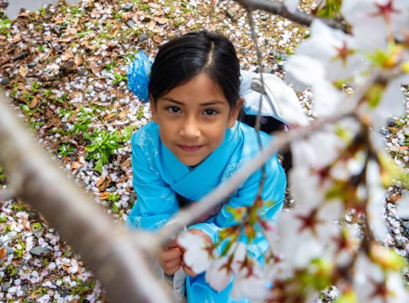 Kyoto: Private Guided Walking Tour of Kyoto with an expert - A Deep Dive into the Kyoto Private Walking Tour