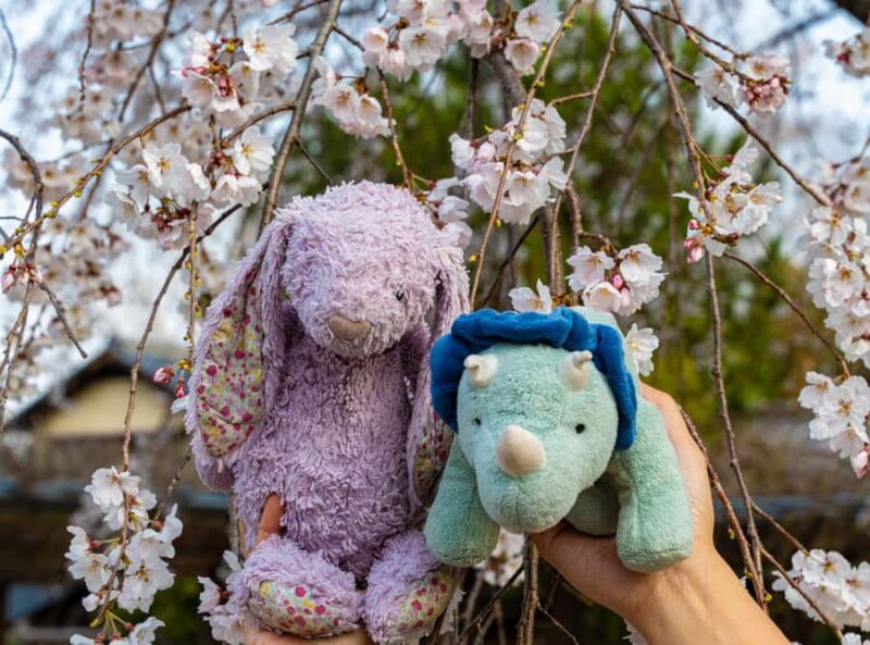 Kyoto: Private Guided Walking Tour of Kyoto with an expert - FAQ