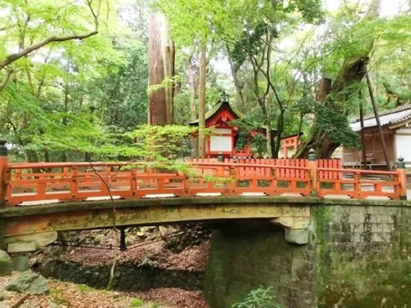 Kyoto: Private Half-Day Tour with Fushimi Inari Taisha - Practical Details and Logistics