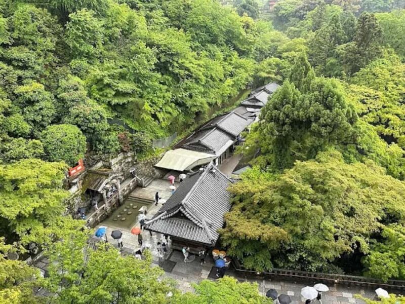 Kyoto: Private Half-Day Tour with Fushimi Inari Taisha - Value and Overall Impression
