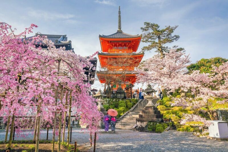 Kyoto: Private Highlights Tour with Guide and Luxury Vehicle - Why Travelers Value This Experience
