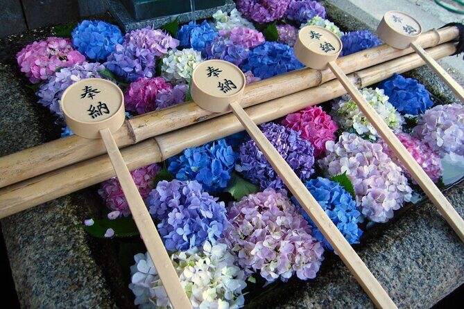 Kyoto Private Hydrangea Tour by Car and Rail - Kyoto Private Hydrangea Tour by Car and Rail: A Detailed Look