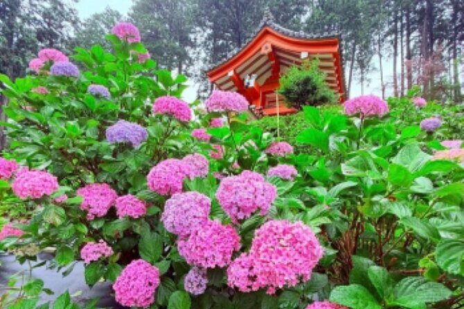 Kyoto Private Hydrangea Tour by Car and Rail - FAQ