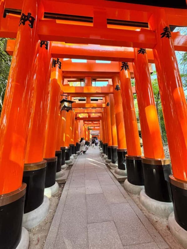 Kyoto: Private Kyoto and Nara Customizable Day Tour - Key Points