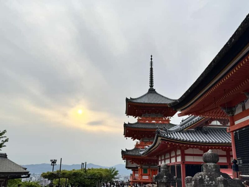 Kyoto: Private Kyoto and Nara Customizable Day Tour - An In-Depth Look at the Tour