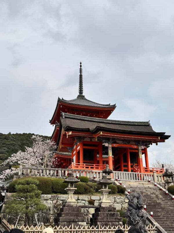 Kyoto: Private Kyoto and Nara Customizable Day Tour - What Reviewers Say