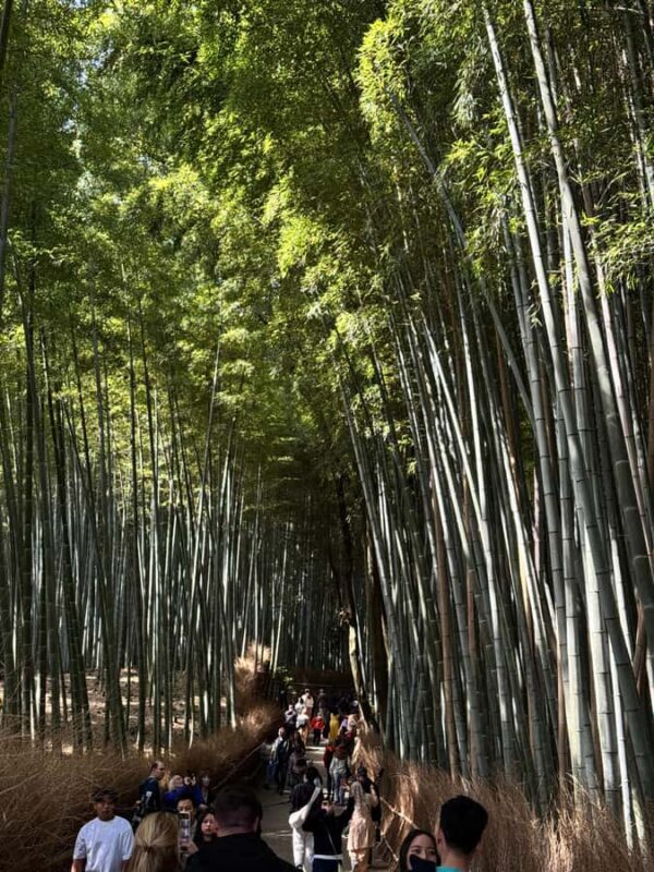 Kyoto: Private Kyoto and Nara Customizable Day Tour - Who Should Consider This Tour?