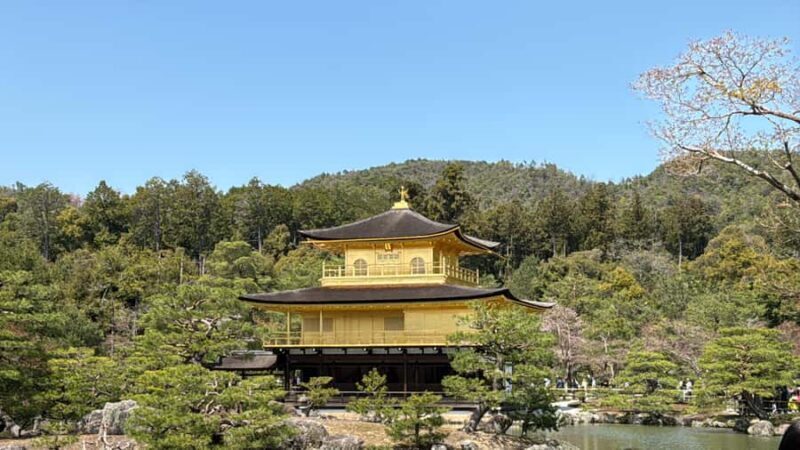 Kyoto: Private Kyoto and Nara Customizable Day Tour - Final Thoughts