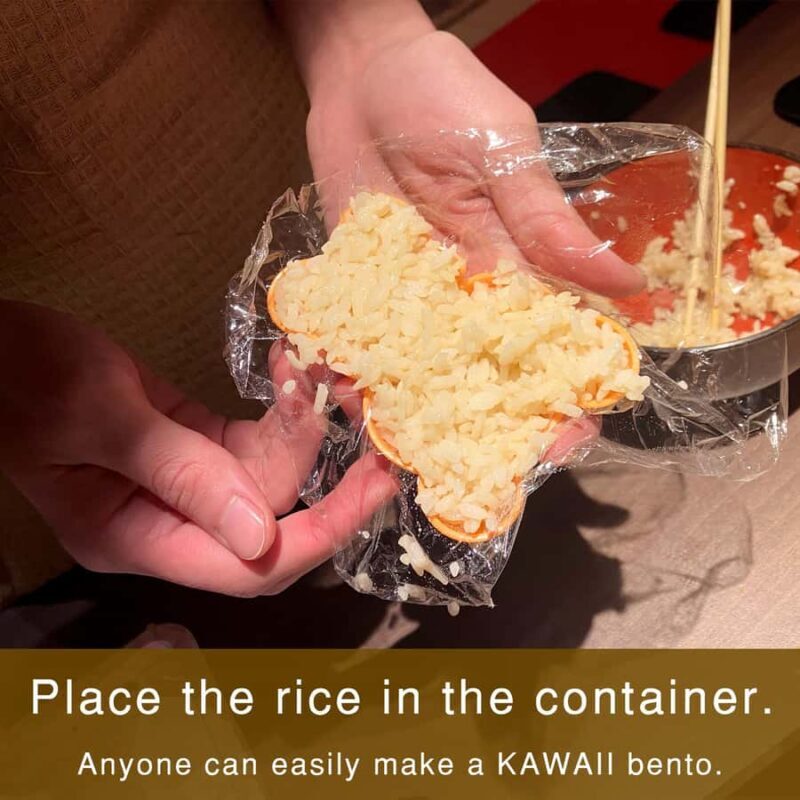 Kyoto: Private Morning Kawaii Bento & Picnic in Gion - Key Points