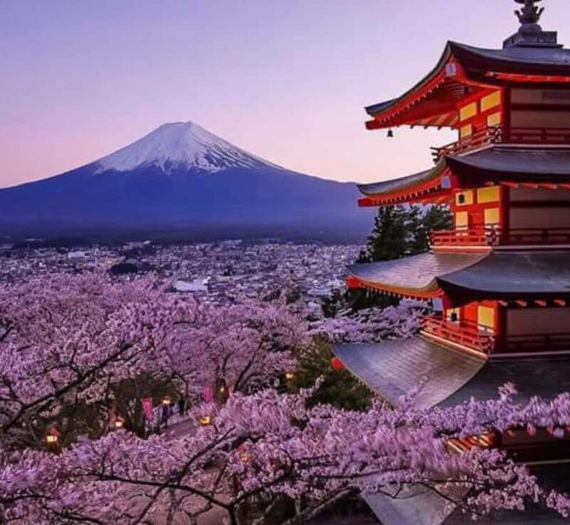 Kyoto: Private Mount Fuji & Hakone Tour with Guide - Who Would Enjoy This Tour?