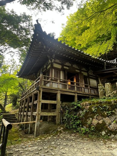 Kyoto: Private tour, Arashiyama, Bamboo Forests and Sacred Temples - The Experience’s Strengths and Limitations