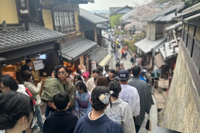 Kyoto private tour |english speaking driver only : No guide - An In-Depth Journey Through Kyotos Highlights