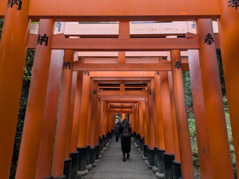 Kyoto Private Tour Licensed Guide & Car from Osaka/Kyoto - What Makes This Tour Stand Out?