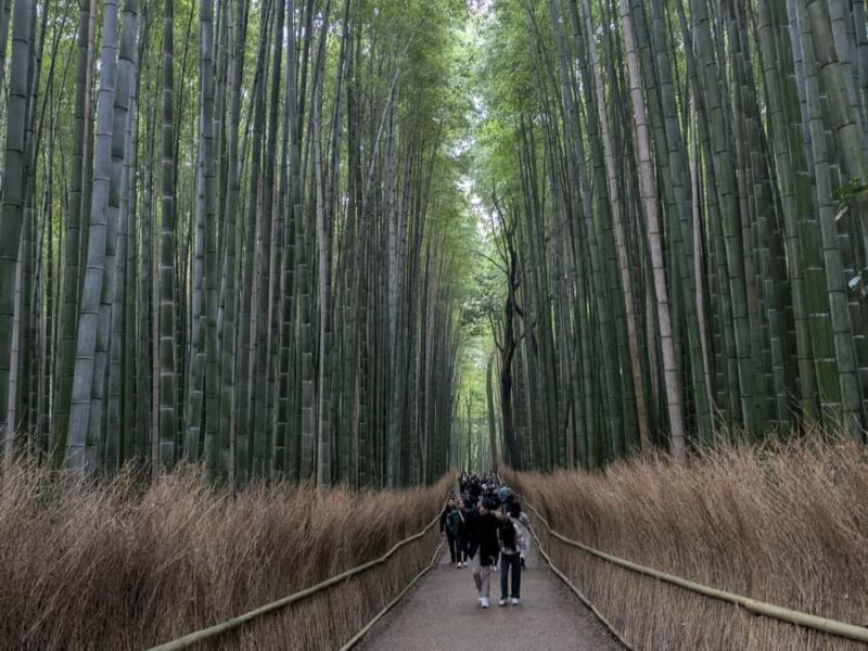 Kyoto Private Tour Licensed Guide & Car from Osaka/Kyoto - The Sum Up