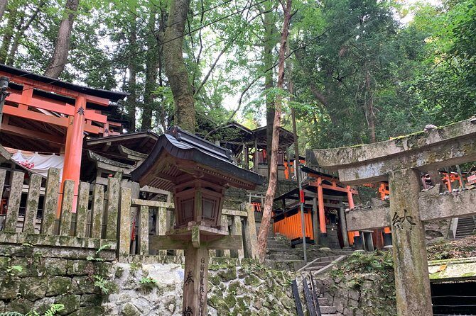 Kyoto private tour (Shore excursion available from Osaka or Kobe port) - Key Points