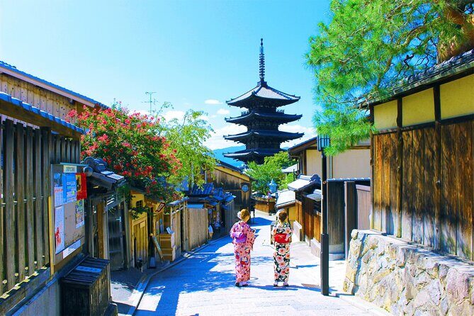 Kyoto Private Tour with National Licensed Guide - How This Tour Works: Logistics and Value
