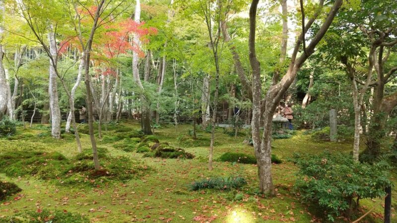 Kyoto: Quiet Arashiyama and Sagano Temples Guided Tour - Key Points