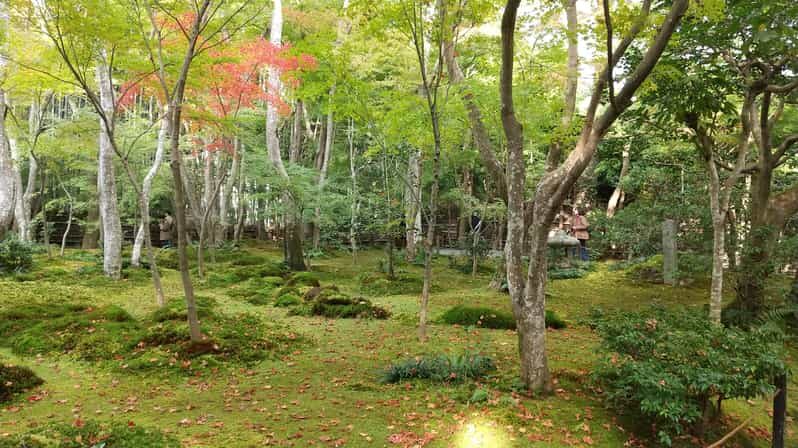 Kyoto: Quiet Arashiyama and Sagano Temples Guided Tour - A Detailed Look at the Tour Experience