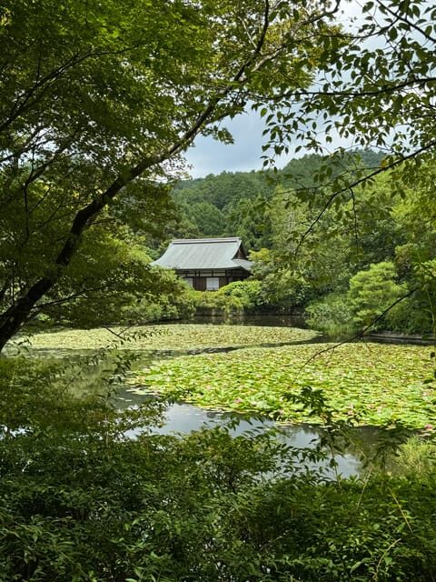 Kyoto: Ryan-ji, Greatest Zen Garden Guided Tour in 90 Min. - An In-Depth Look at the Itinerary