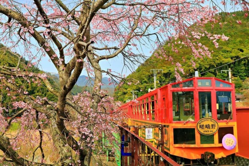 Kyoto: Sagano Scenic Railway, River Cruise, & Sake Tour - A Comprehensive Look at the Tour Experience