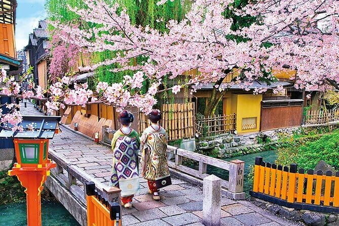 Kyoto Sakura & Hidden Gems of Timeless Tradition - Summary: Who Will Appreciate This Tour Most?