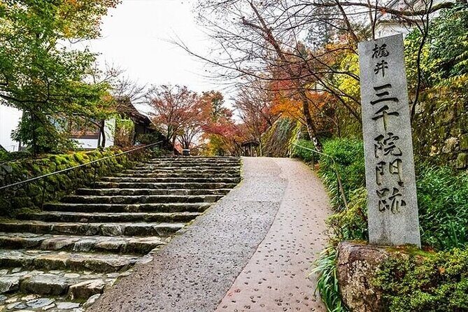 Kyoto Sansen-in Arashiyama Train 1 Day Tour from Osaka or Kyoto - An In-Depth Look at the Kyoto Sansen-in Arashiyama Tour