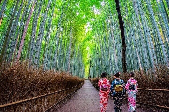 Kyoto Sansen-in Arashiyama Train 1 Day Tour from Osaka or Kyoto - Who Should Consider This Tour?