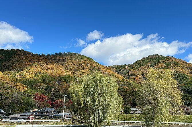Kyoto Satoyama Cycling with Lunch and English guide - FAQ