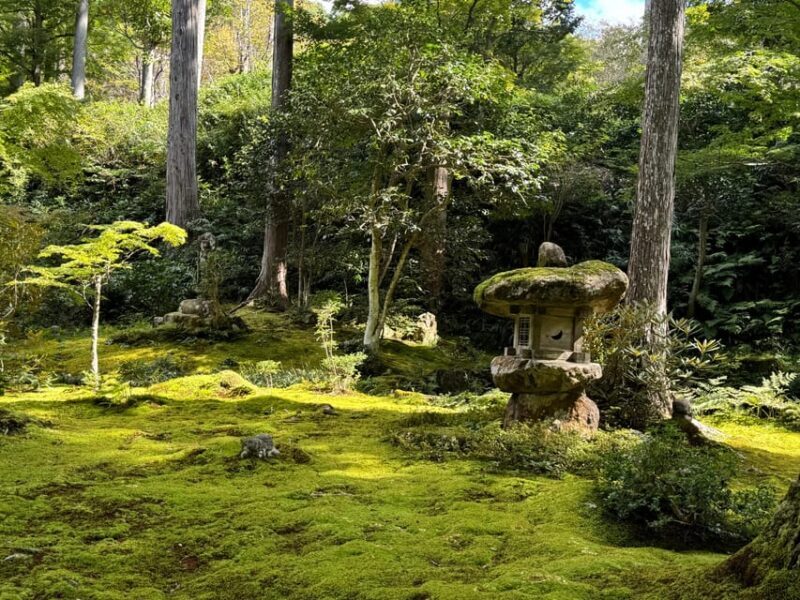 Kyoto: Scenic Day Trip to Ohara and Sanzen-in Temple - The Scenic Bus Ride