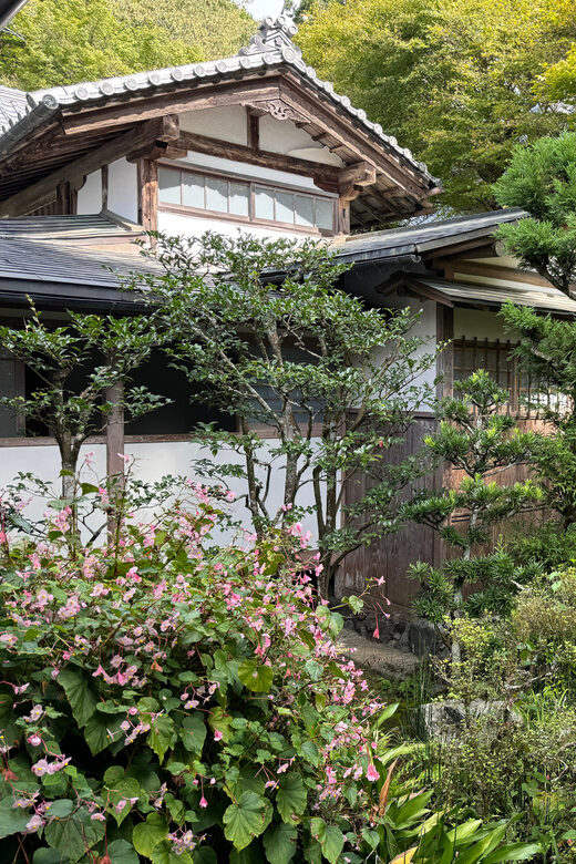 Kyoto: Scenic Day Trip to Ohara and Sanzen-in Temple - The Overall Experience