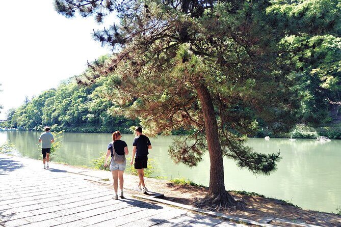 Kyoto: Serene Morning Walk in Arashiyama Bamboo Grove - The Sum Up