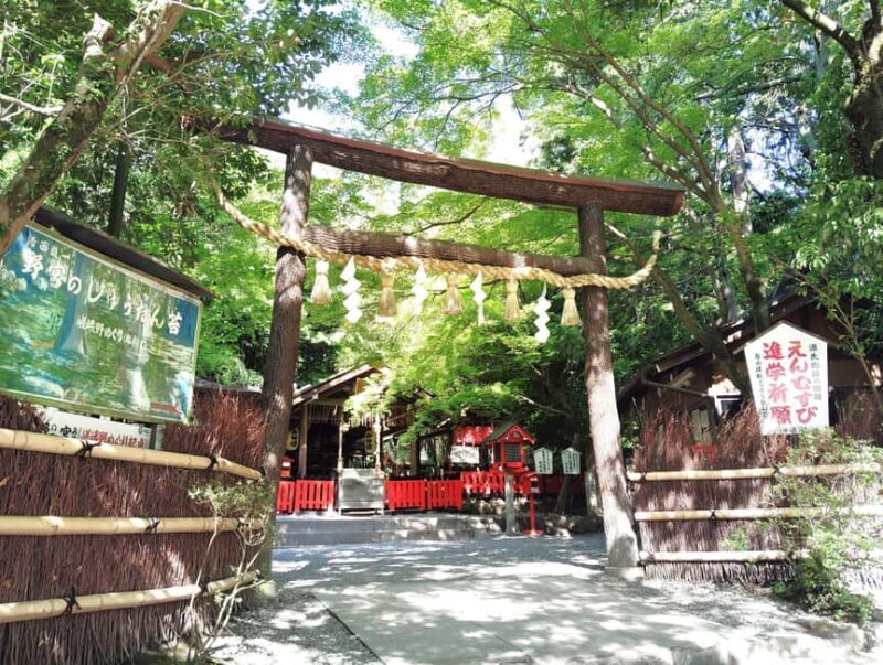 Kyoto: Serene Morning Walk in Arashiyama Bamboo Grove - A Peaceful Awakening in Arashiyama