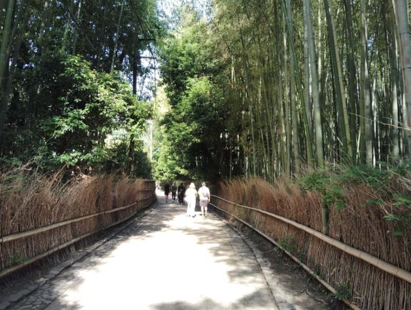 Kyoto: Serene Morning Walk in Arashiyama Bamboo Grove - Who Should Consider This Tour?